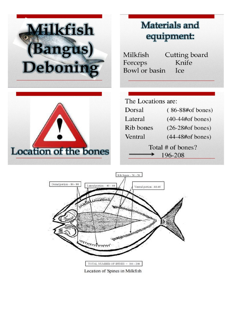 Steps in Fish Deboning | PDF