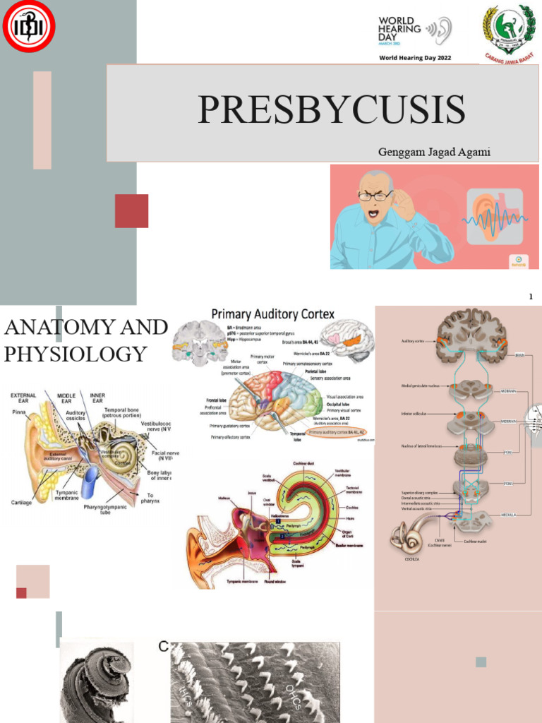 Presbycusis Jagad | Download Free PDF | Hearing Loss | Hearing