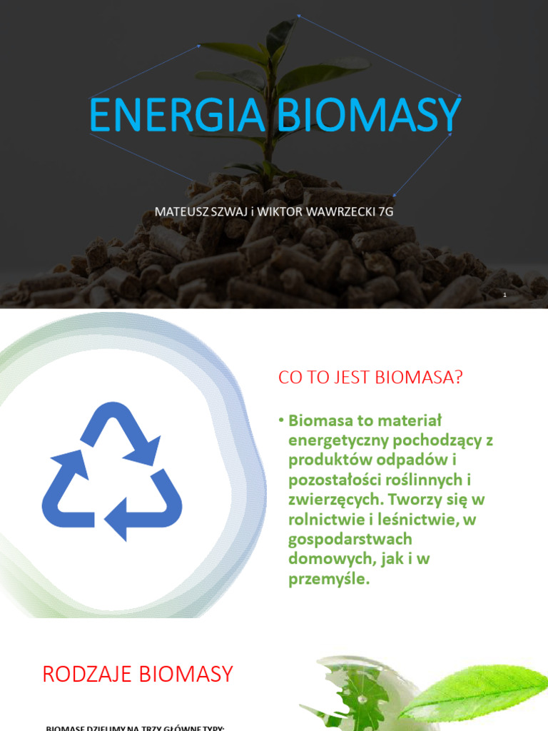 Energia Biomasy | PDF