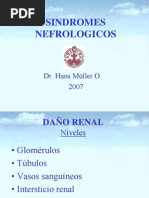 ESCALA DE ARMSTRONG (Todas Las Cat) | PDF