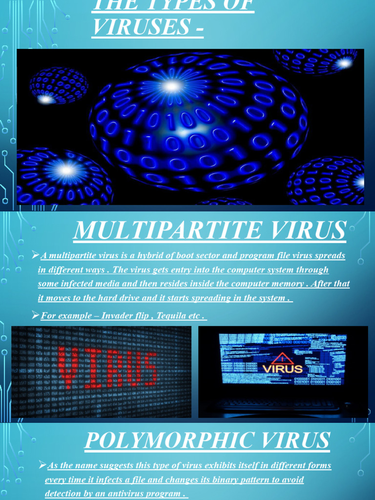 The Types of Viruses | PDF | Social Science | Computers
