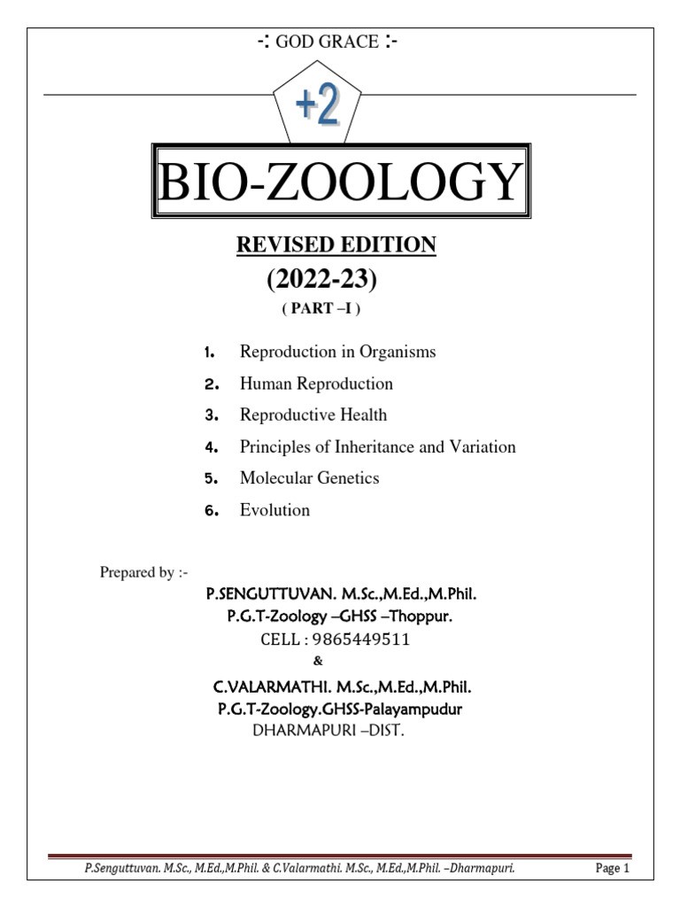 Namma Kalvi 12th Bio Zoology Study Material EM 221002 | PDF | Menstrual Cycle | Reproduction