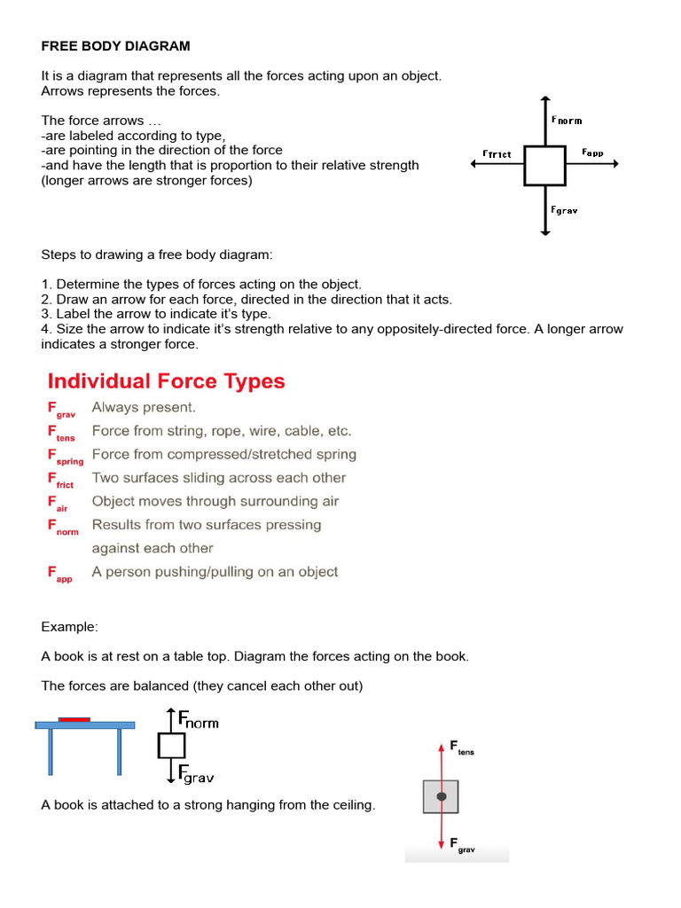 Free Body Diagram | Download Free PDF | Force | Mechanics