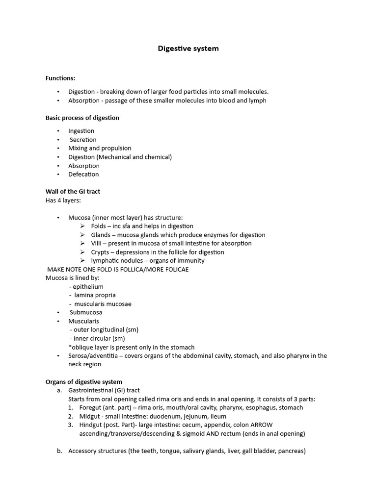 Digestive System | PDF | Dental Anatomy | Gastrointestinal Tract