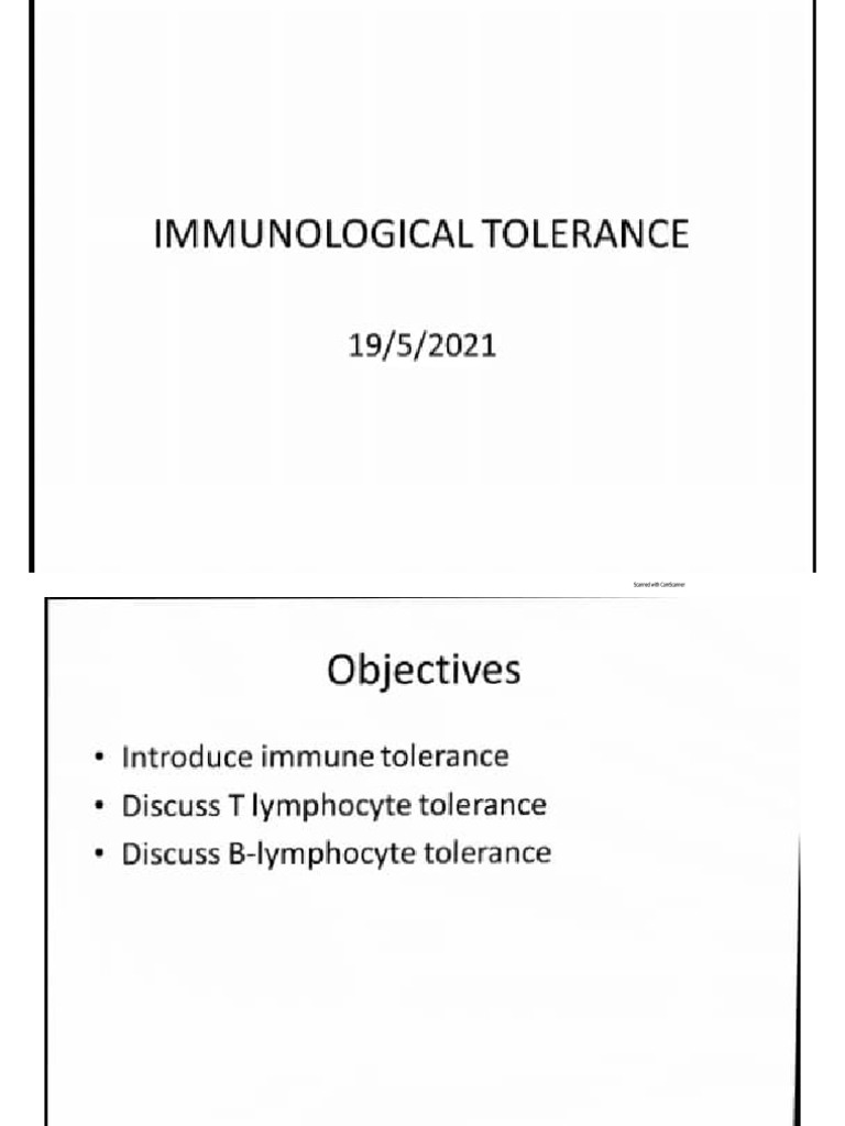 Immunological Tolerance | PDF