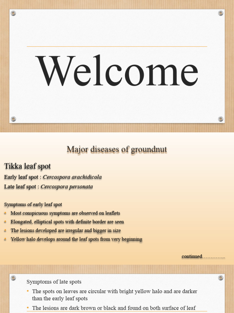 Groundnut Disease Management Guide | PDF | Leaf | Botany