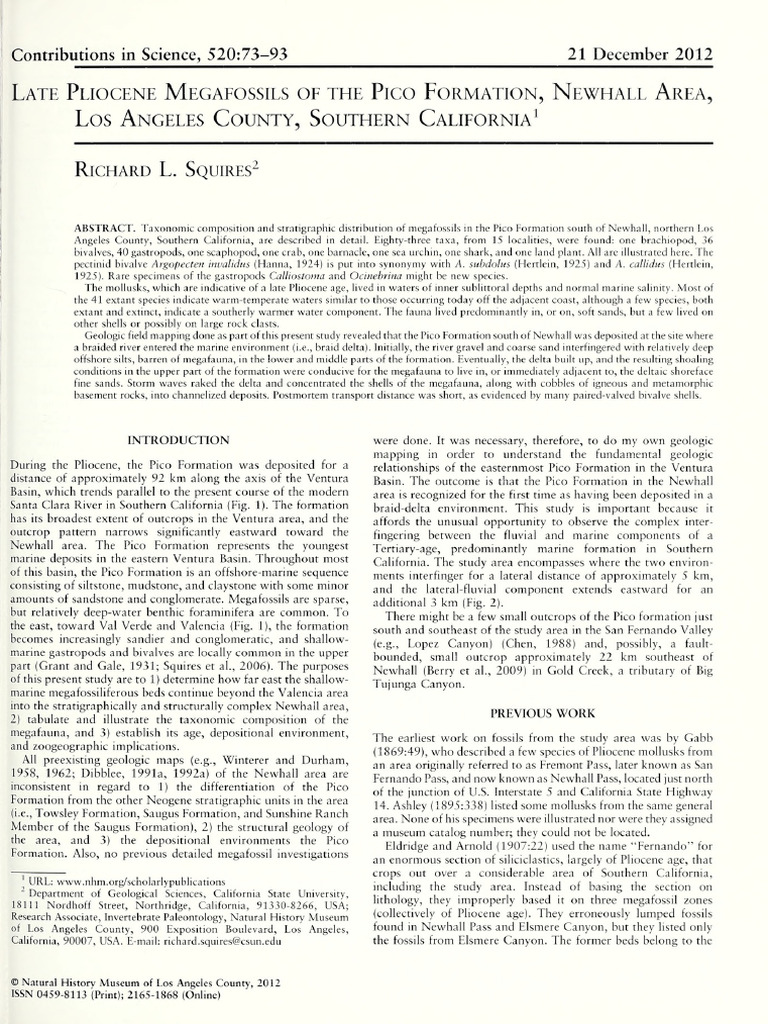 Late Pliocene Megafossils in Pico Formation | PDF | Geological ...