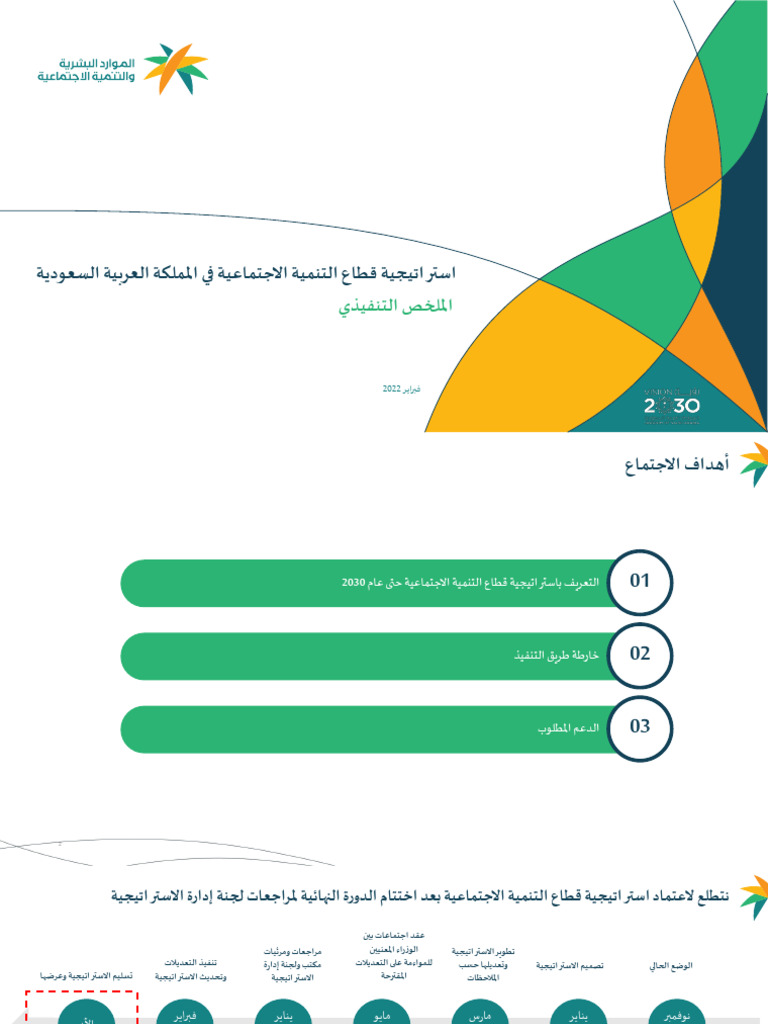 SDS Executive Summary Final Arabic 150822 | PDF