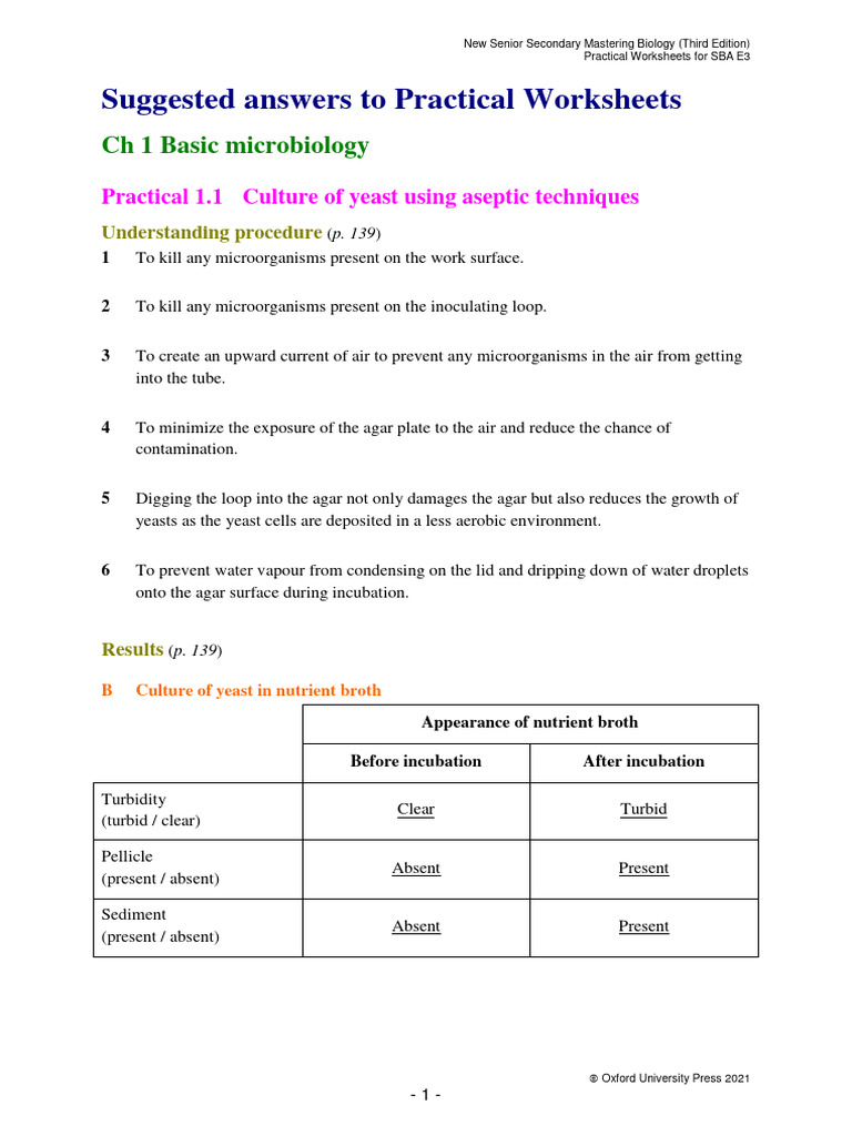 E3 Practical Answer | PDF | Yeast | Fermentation