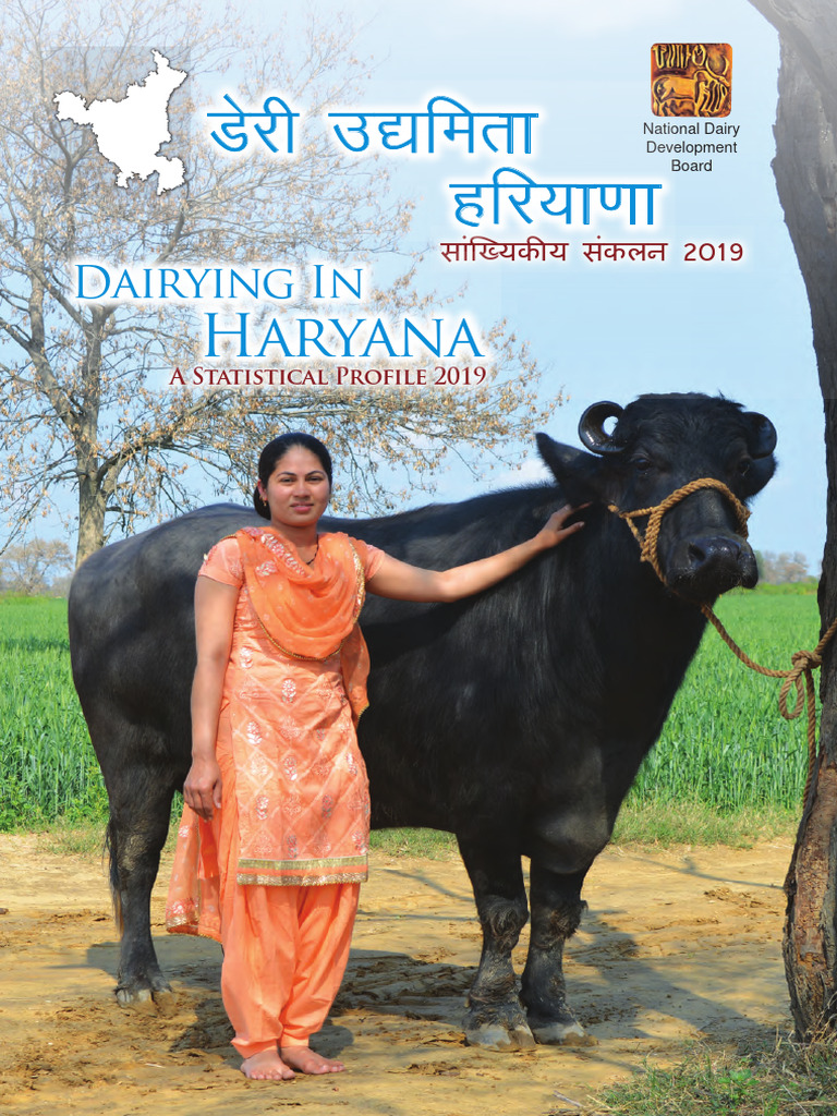 Dairying in Haryana | PDF | Agriculture