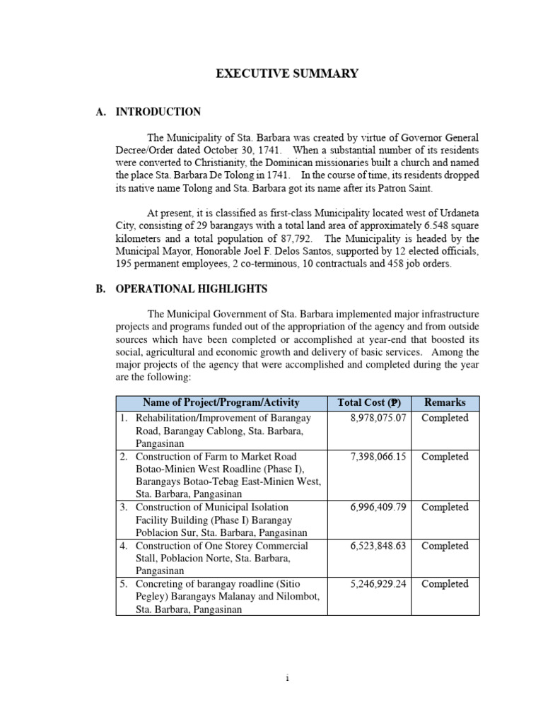 Sta. Barbara Executive Summary 2021 | PDF | Audit | Business