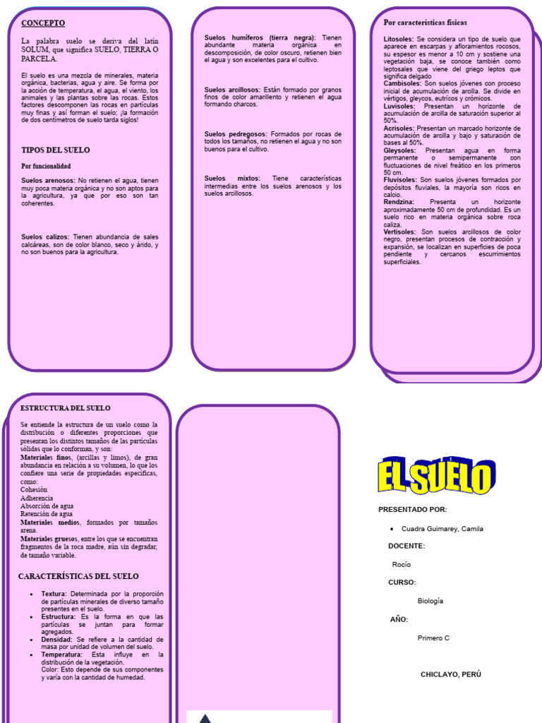 Triptico EL SUELO - Camila Cuadra Guimarey | PDF | Suelo | Malaria