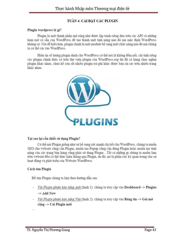 Huong Dan Thuc Hanh Mon Nhap Mon TMDT(Tuan 4-Pluggin) | PDF