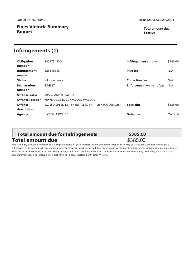 Fines Victoria Summary Report | PDF