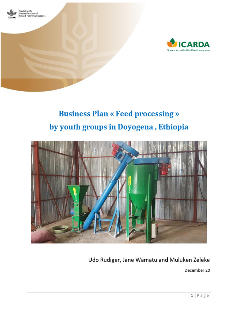Business Plan Feed Processing by Youth Groups in Doyogena, Ethiopia ...