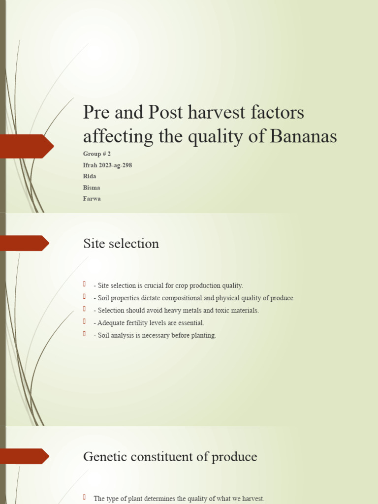 Pre-Harvest Factors Impacting Banana Quality | PDF | Tomato | Vegetables