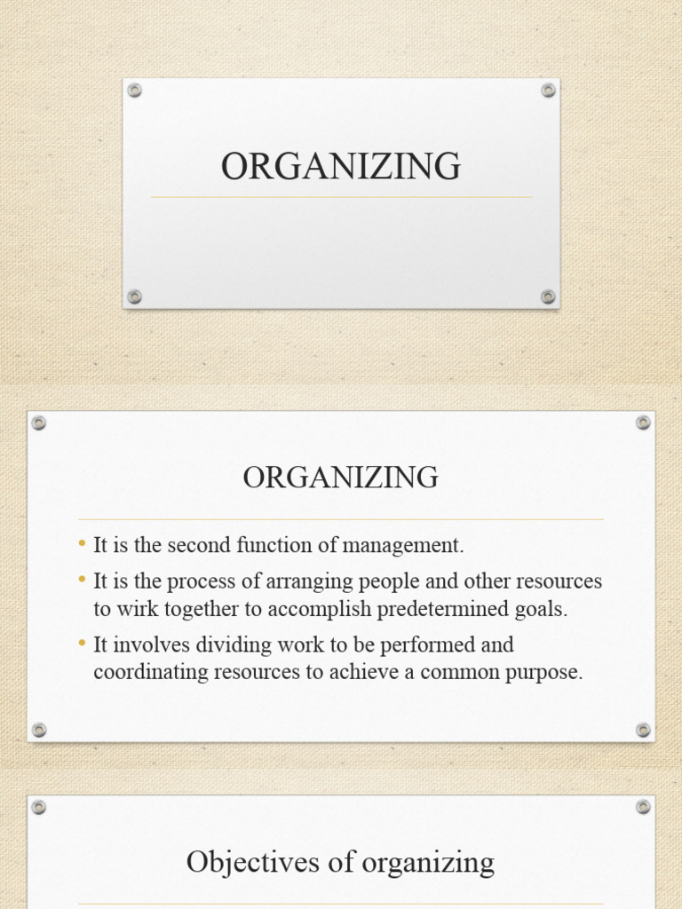 Organizing | PDF | Organizational Structure | Business