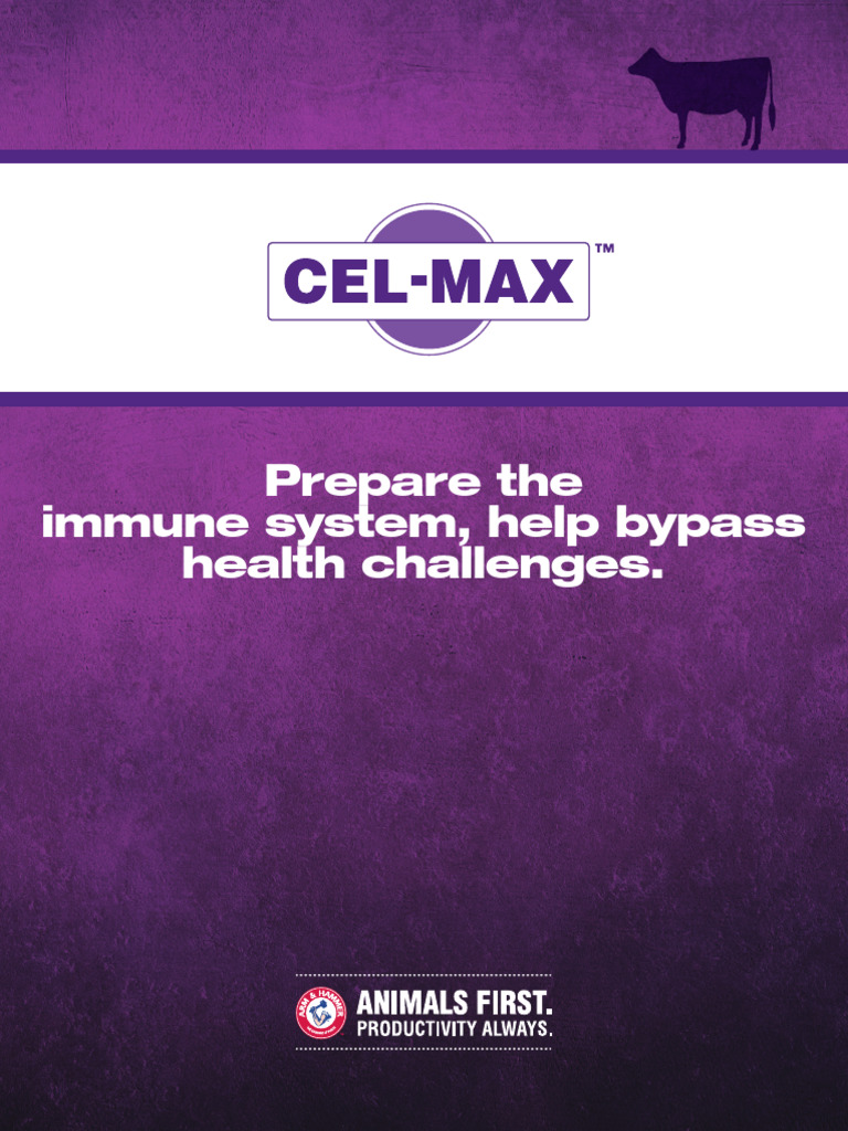 Pestell Minerals Ingredients Arm Hammer Cel Max Dairy Brochure | PDF ...