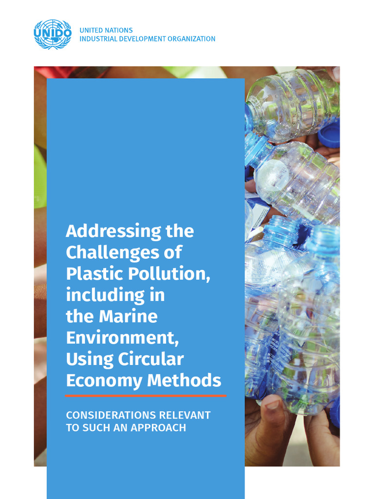 Addressing the Challenges of Plastic Pollution, Including in the Marine ...