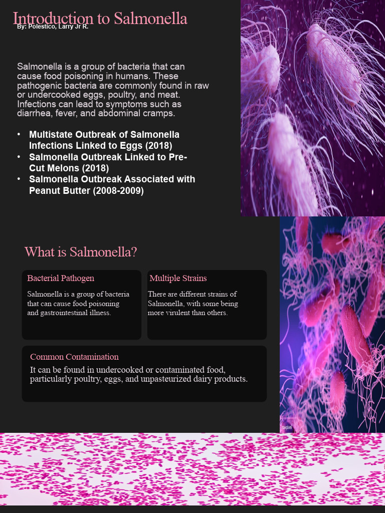Introduction To Salmonella | PDF | Salmonella | Hygiene