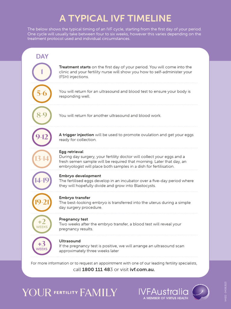 IVF Timeline - IVFA 04.08.23 - VH102 Typical | PDF