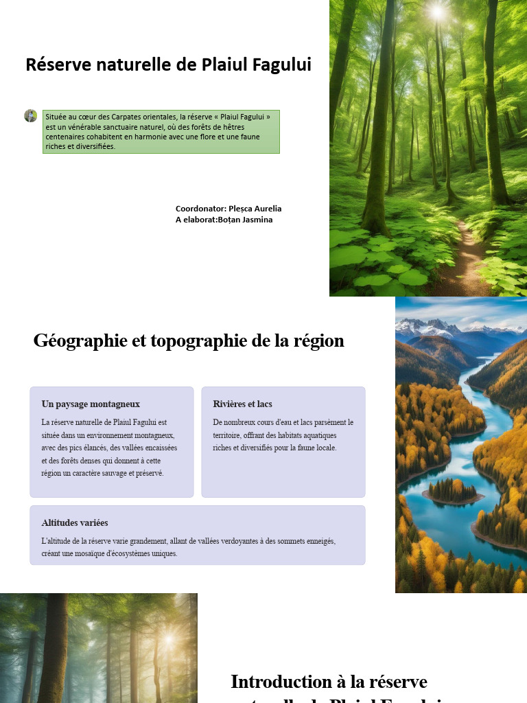 Plaiul Fagului | PDF | Forêt | Habitat
