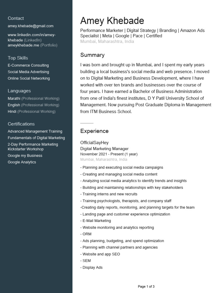 Digital Marketing Expert Profile | PDF | Digital Marketing | Business Process