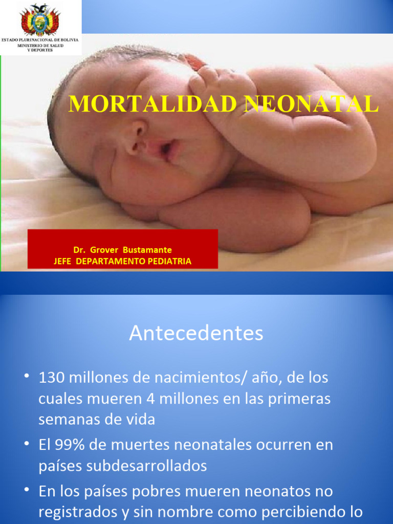 Mortalidad Neonatal | PDF | Infancia | Relaciones interpersonales