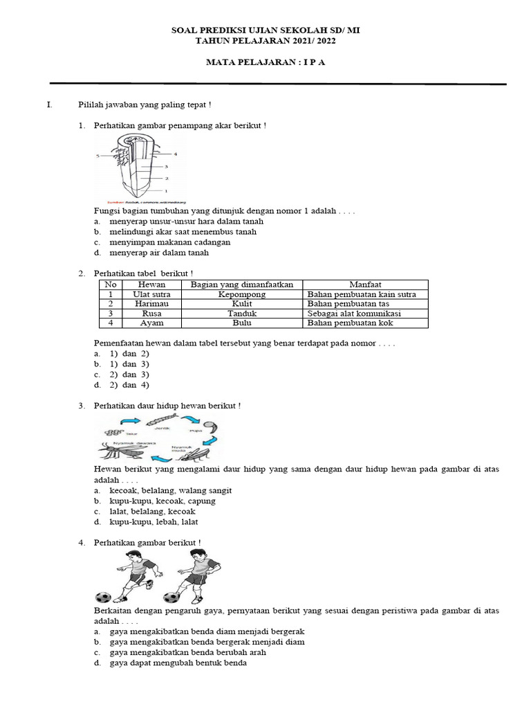 Soal Latihan Ipa 2 | PDF