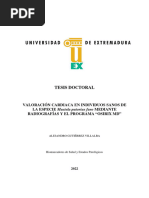 Digestión: Bolo, Quimo y Quilo | PDF | Digestión | Tracto gastrointestinal