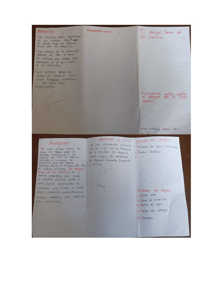 Borrador Del Tríptico de Cabrera Mejía Renzo Valentino | PDF