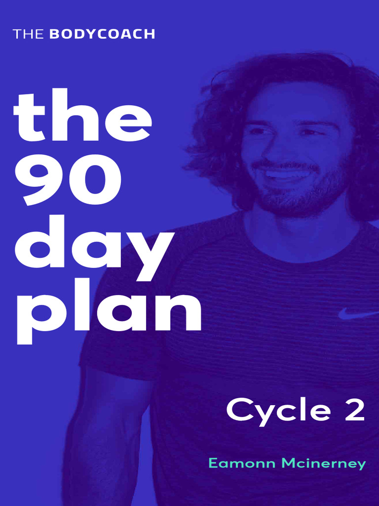 Eamonn Mcinerney - 90 Day Plan Cycle 2 - 014372018 | PDF | High ...
