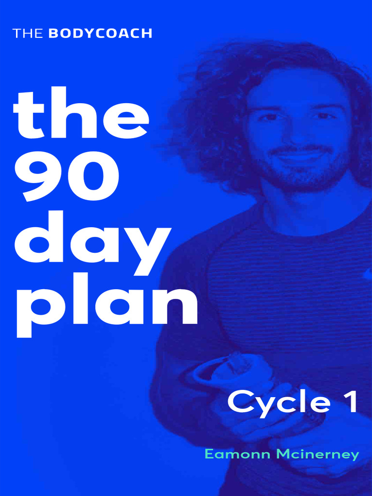 Eamonn Mcinerney - 90 Day Plan Cycle 1-20182281049 | PDF | High ...