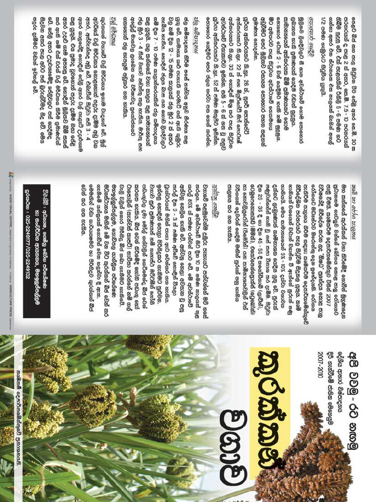 Kurakkan | PDF