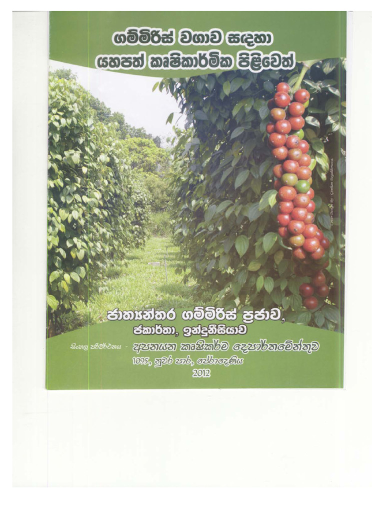 Gammiris Wagawa | PDF