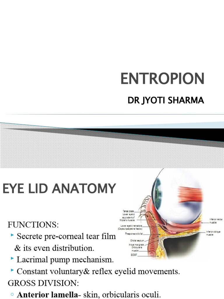 entropion | PDF | Ophthalmology | Human Eye