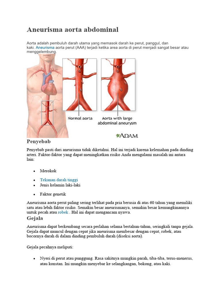 Aneurisma Aorta Abdominal | PDF