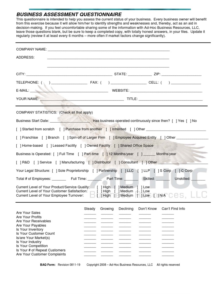 Form-Business Assessment Questionnaire | PDF | Credit (Finance) | Loans