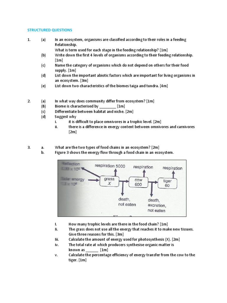 STPM Biology (Ecosystem - Structure Que) | PDF | Food Web | Ecosystem