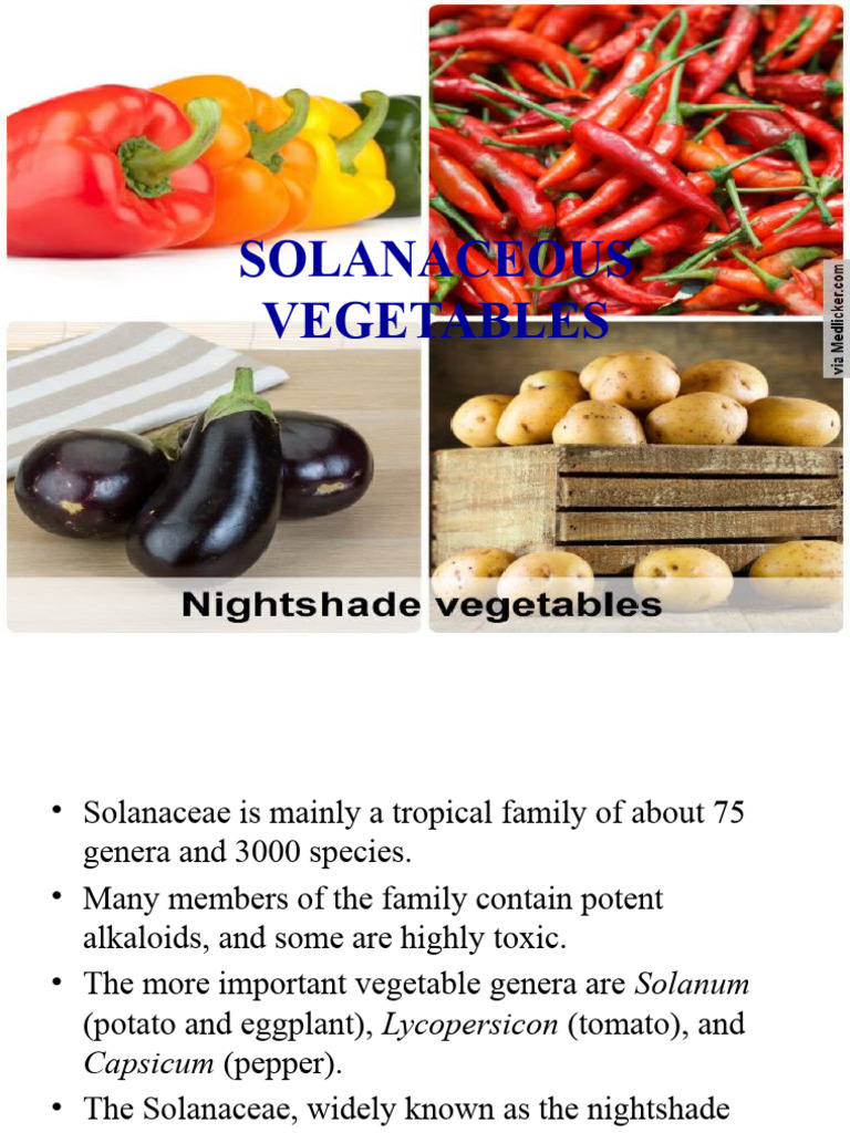 Solanaceous Vegetables Guide | PDF | Flowers | Potato