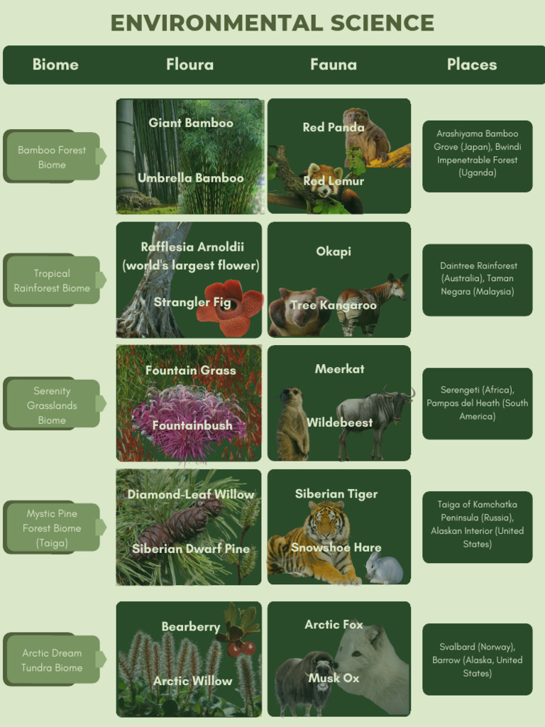 Es-Module 2 Assignment | PDF