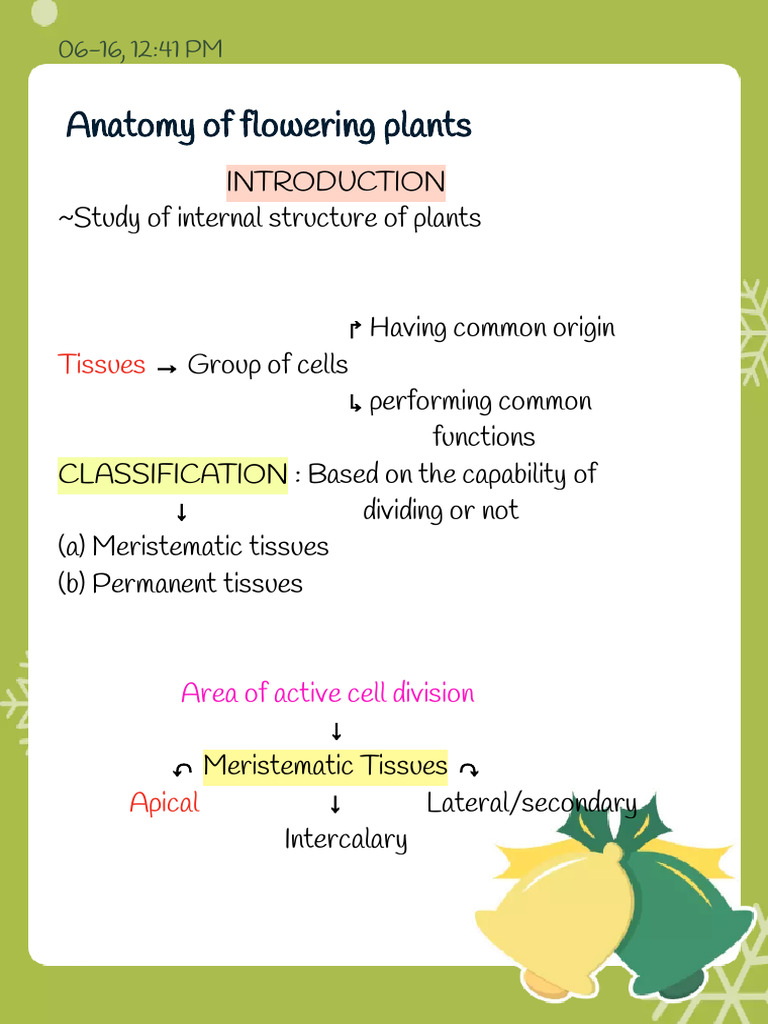 Anatomy of Flowering Plants Notes | PDF | Tissue (Biology) | Plant Stem