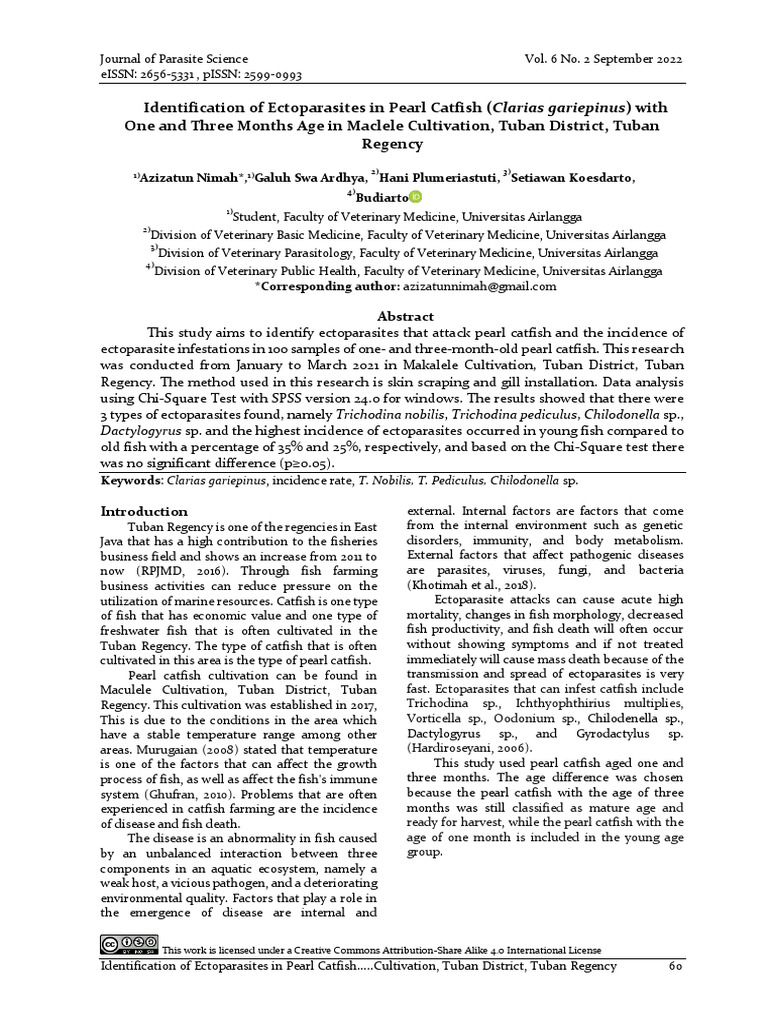 Ectoparasite Identification in Catfish | PDF | Parasitism | Fish