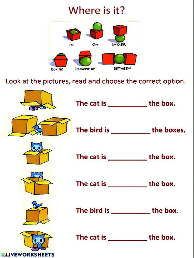Prepositions of place | PDF