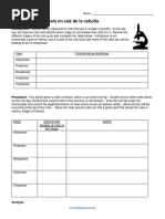 Lab Manual - Mitosis in An Onion Root Cell | PDF