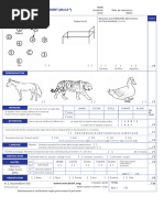 Guide de Cotation de la Figure de Rey | PDF | Triangle | Dessin