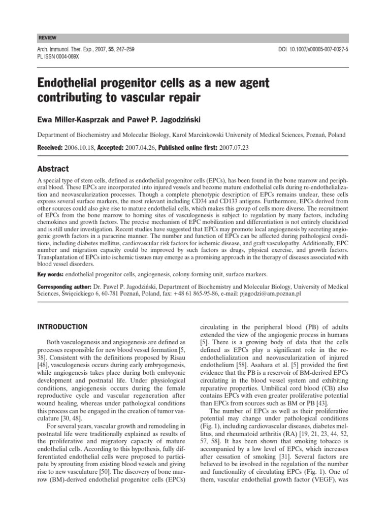 Endothelial progenitor cells as a new agent | PDF | Angiogenesis ...