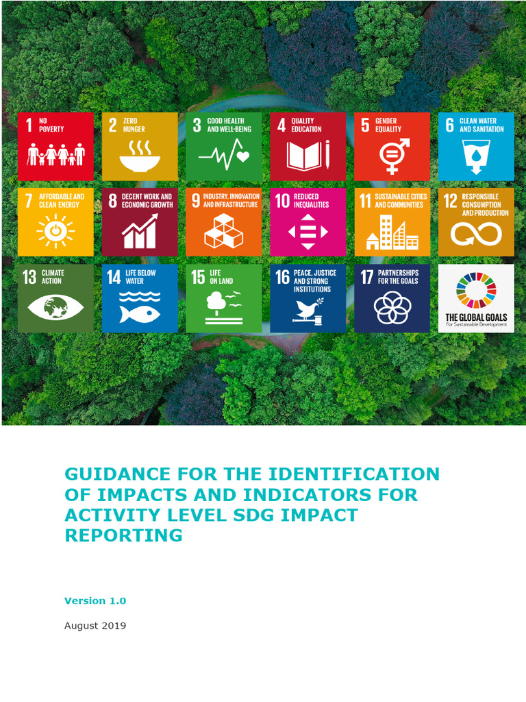 2019 SDG Tool Guidance Briefing | PDF | Sustainability | Climate Change ...