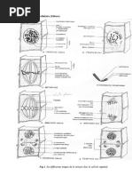 Exercices SVT 1ere S2 | PDF